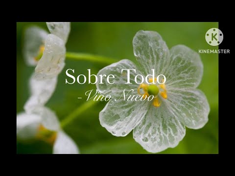 Sobre Todo - Vino Nuevo PISTA - YouTube