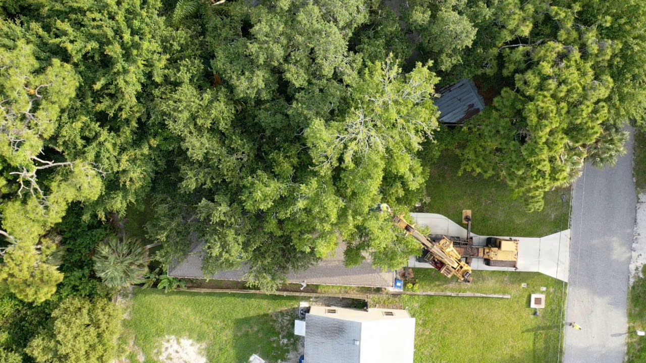 CJs Tree Service Sarasota and Bradenton - YouTube
