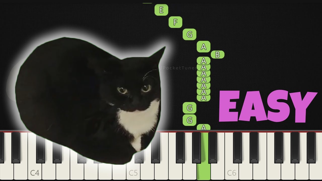 Maxwell the Cat│EASY Piano Tutorial│RIGHT HAND 🤚 - YouTube