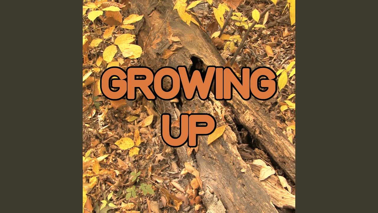 Growing Up - Tribute to Macklemore & Ryan Lewis and Ed Sheeran ...