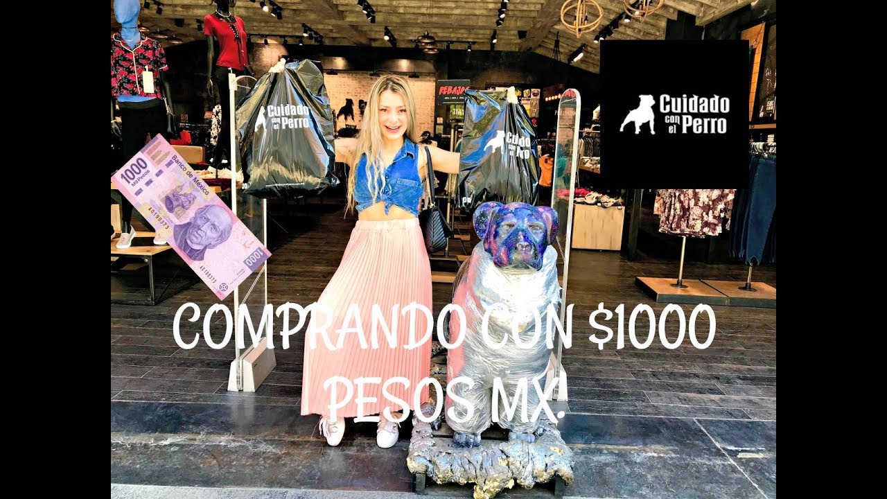Venta > venta de ropa cuidado con el perro > en stock