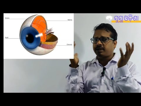 EPS TRAINING | EYE Part-1 | Health tips in odia #health #eye - YouTube