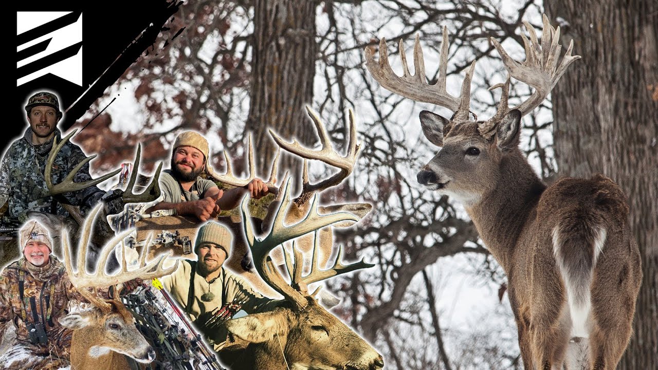 What Is The Best Hunting Advice You've Ever Been Given? We Asked The ...