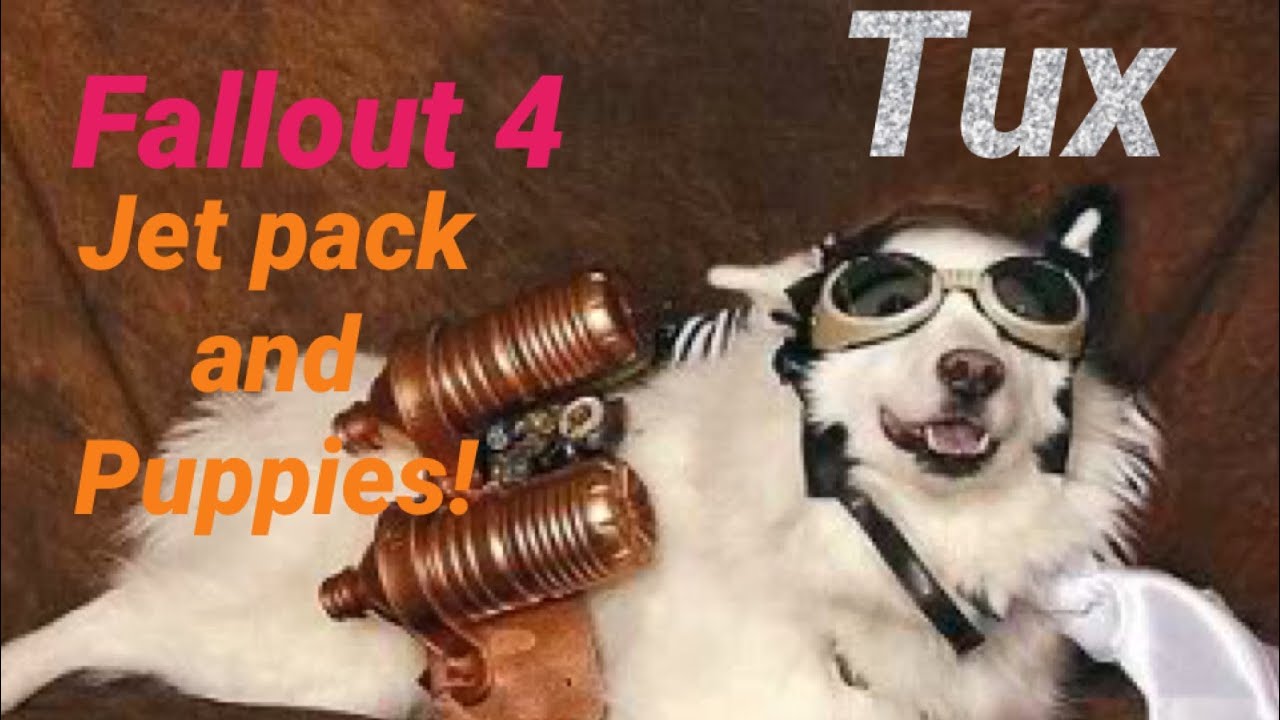 Fallout 4 EP: 44 "JET PACK AND PUPPIES" :O - YouTube