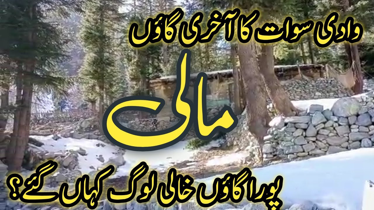 Last village of Swat Valley | Malee village where all homes empty ...