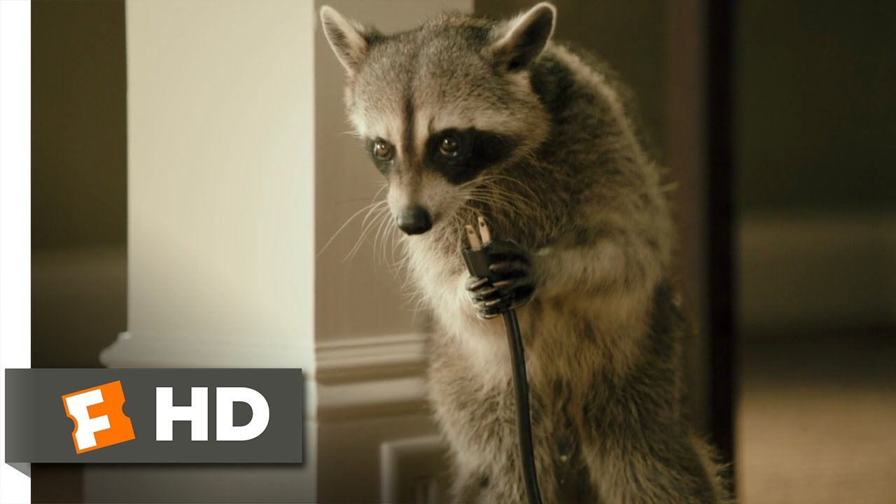Furry Vengeance (5/11) Movie CLIP - Nature Fights Back (2010) HD - YouTube