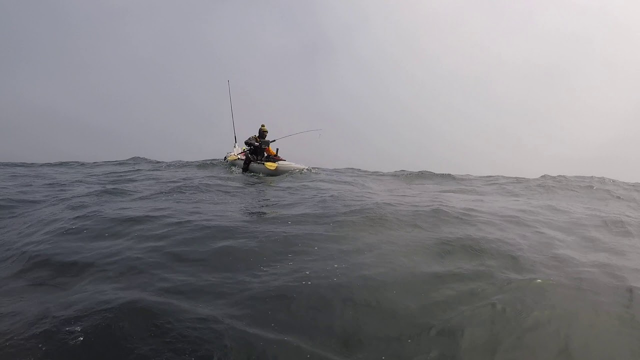 Fishing for Petrale Sole - YouTube