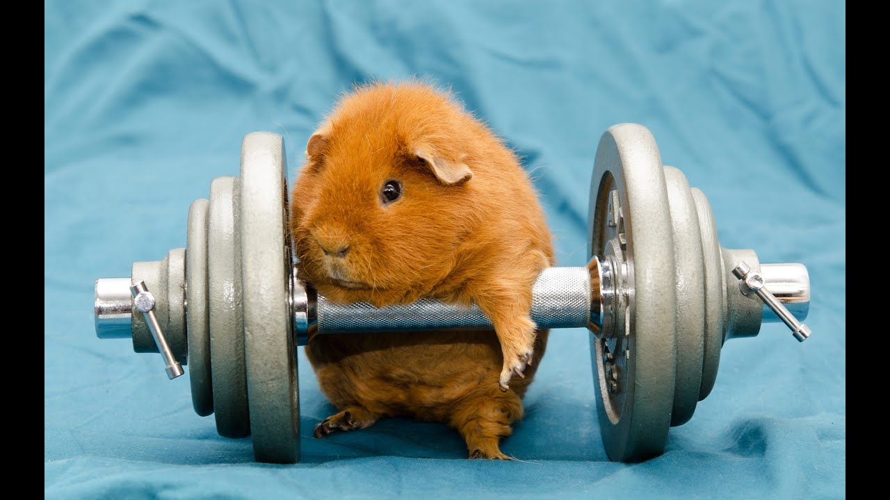 This will 100% make you laugh. Can you hold your laugh for 4seconds ...