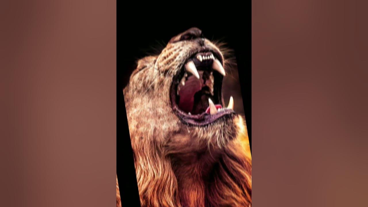 2023 LION AND 5000 BCE LION//MYTHICAL BIOLOGY//#shortvideo #new # ...