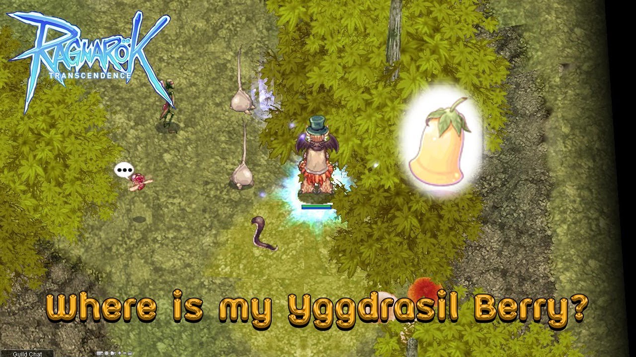 Ragnarok Transcendence - Where is my Yggdrasil Berry?【Live】 - YouTube