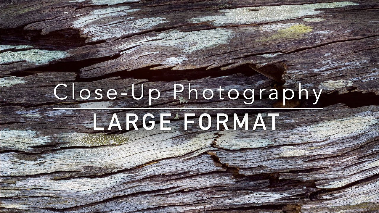 Large Format Closeup Landscape Photography - YouTube