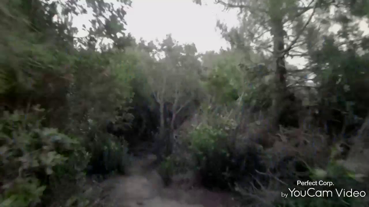 New single *Seraïdi* - YouTube