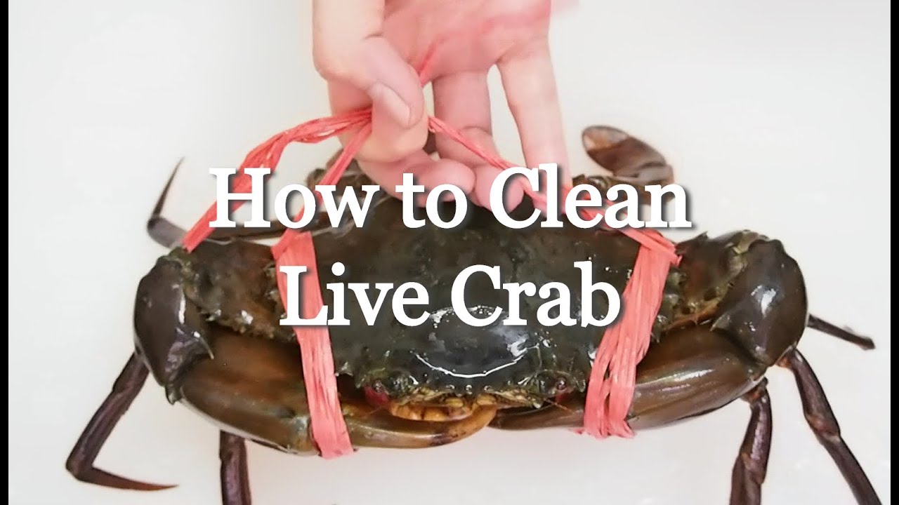 Step By Step on How To Clean Live Crab | Fresh Crab | 快速简单的清洗螃蟹 - YouTube