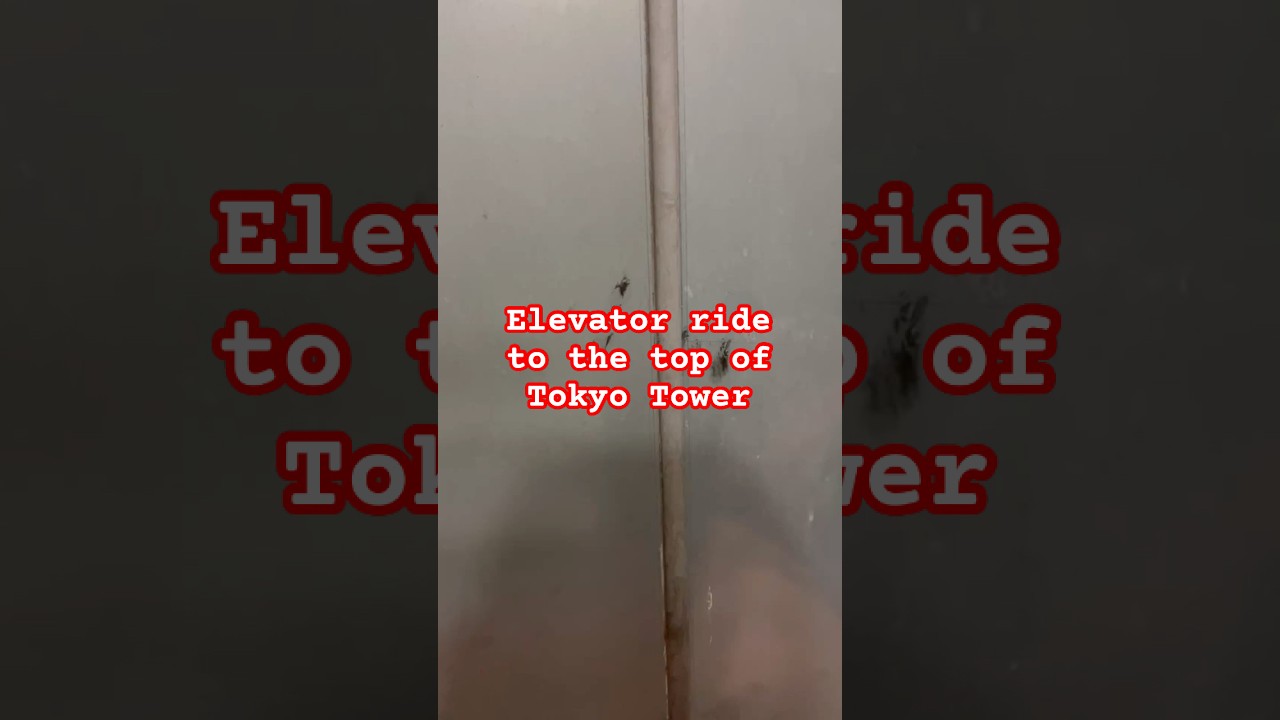 Riding the Elevator to the Top of Tokyo Tower 🇯🇵 - YouTube