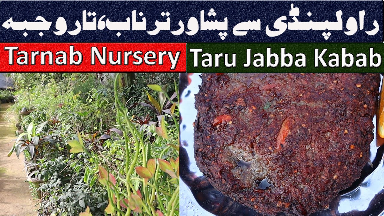 Rawalpindi to Peshawar Trip | Tarnab Nursery | Taru Jabba Kabab - YouTube
