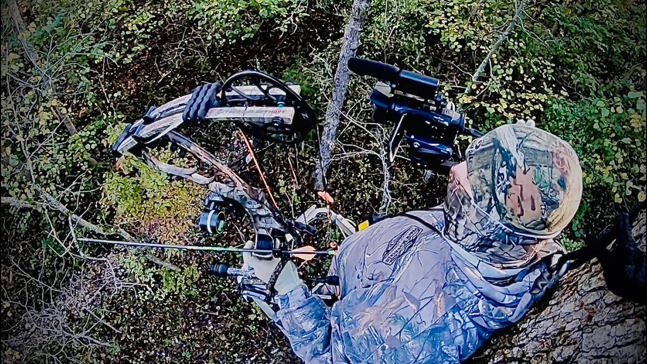 Double Drop Tine Buck on Public Property - YouTube