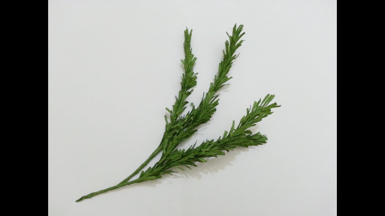How To Make Rosemary From Crepe Paper - Craft Tutorial - YouTube