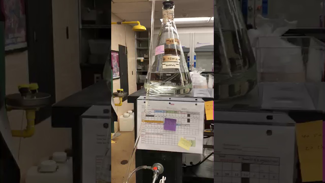 BOD Set up of Samples - YouTube