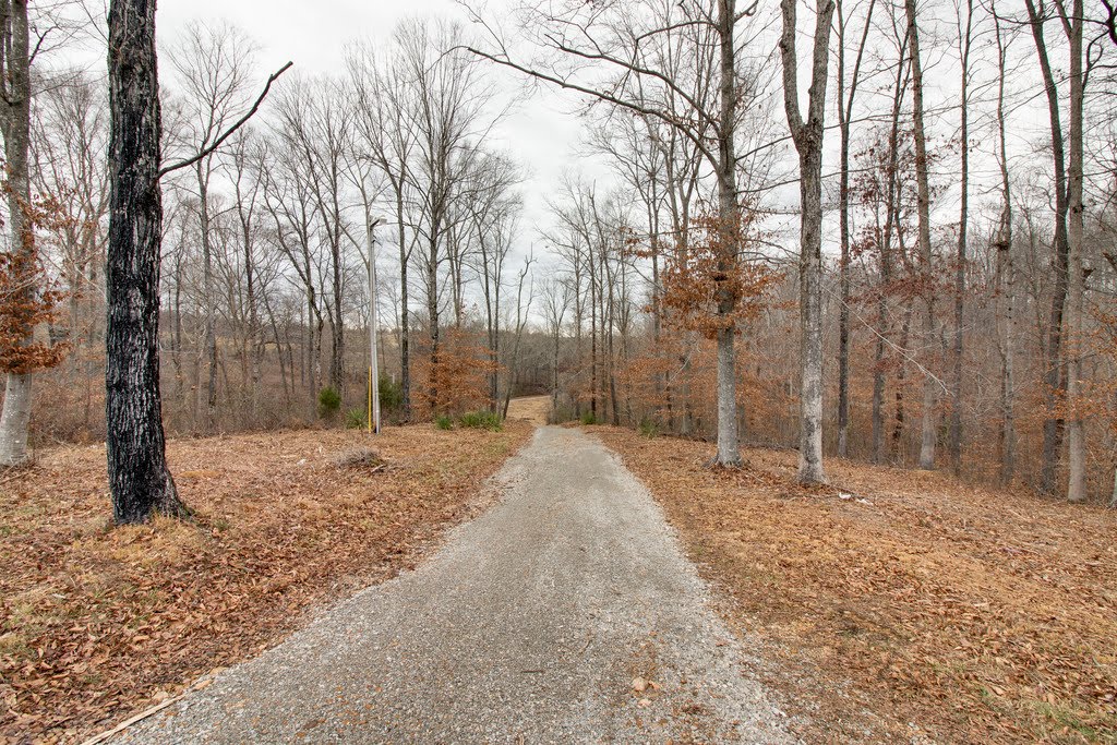 5989 Old Hwy 48 Cunningham TN - YouTube