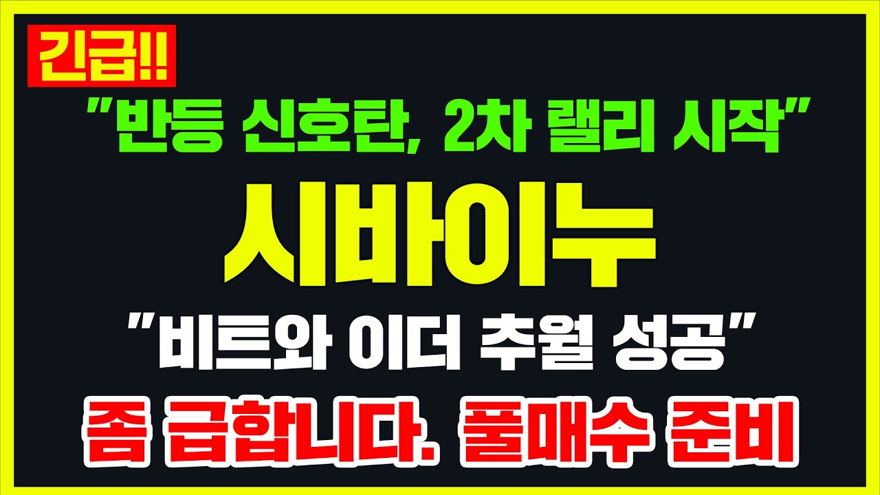 긴급 반등 신호탄 2차 랠리 시작 시바이누 비트와 이더 추월 성공 좀 급합니다 풀매수 준비 시바이누코인대응 시바이누호재 Youtube