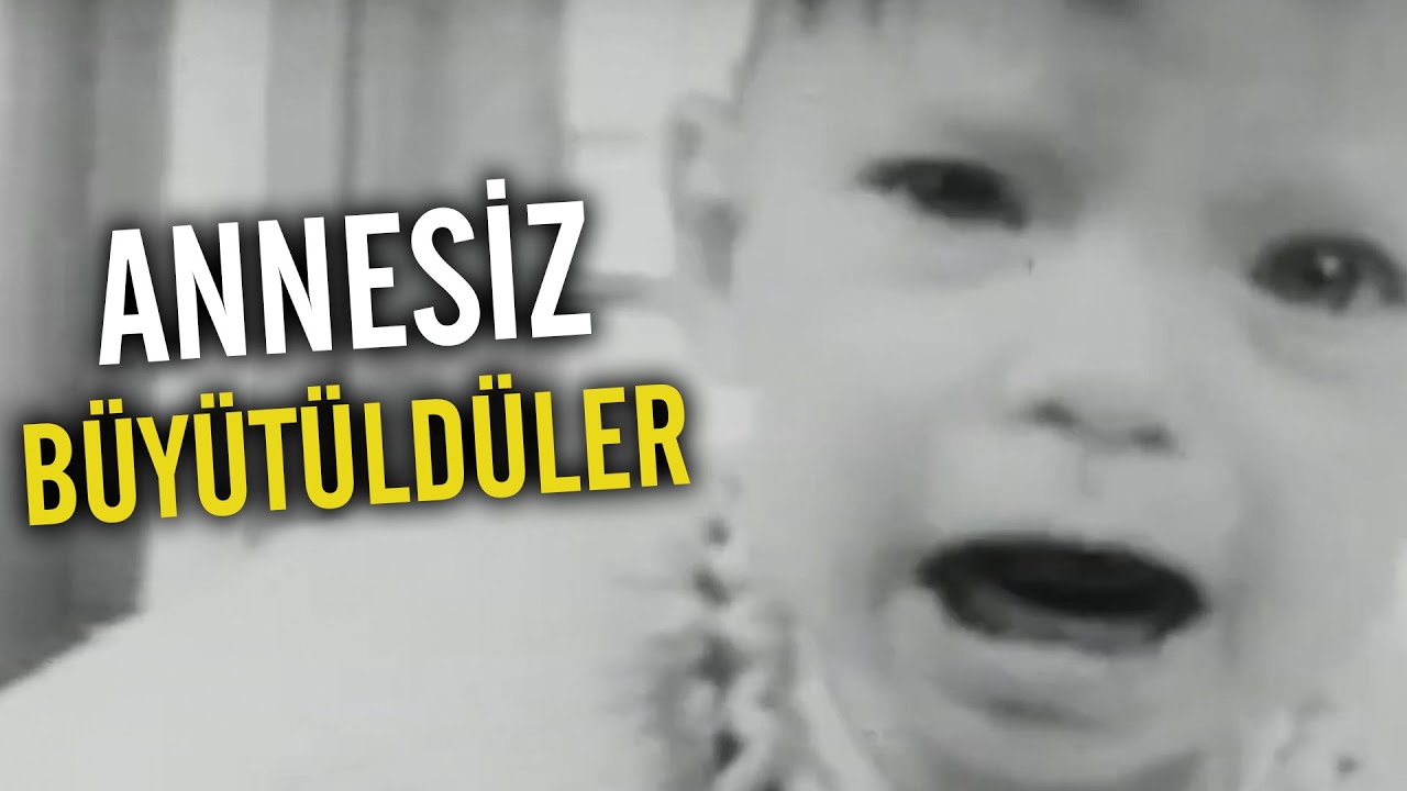 Rene Spitz Deneyi (HASSAS GÖRÜNTÜLER) - YouTube