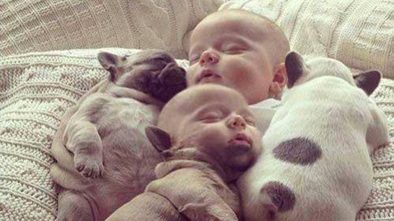 🔴 Most Disturbing Face Swaps That'll Give You Nightmares Forever 🔴 ...