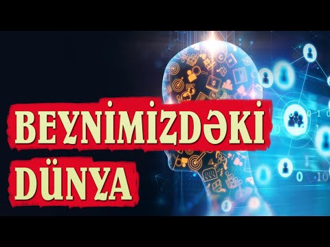 Beynimizdəki dünya