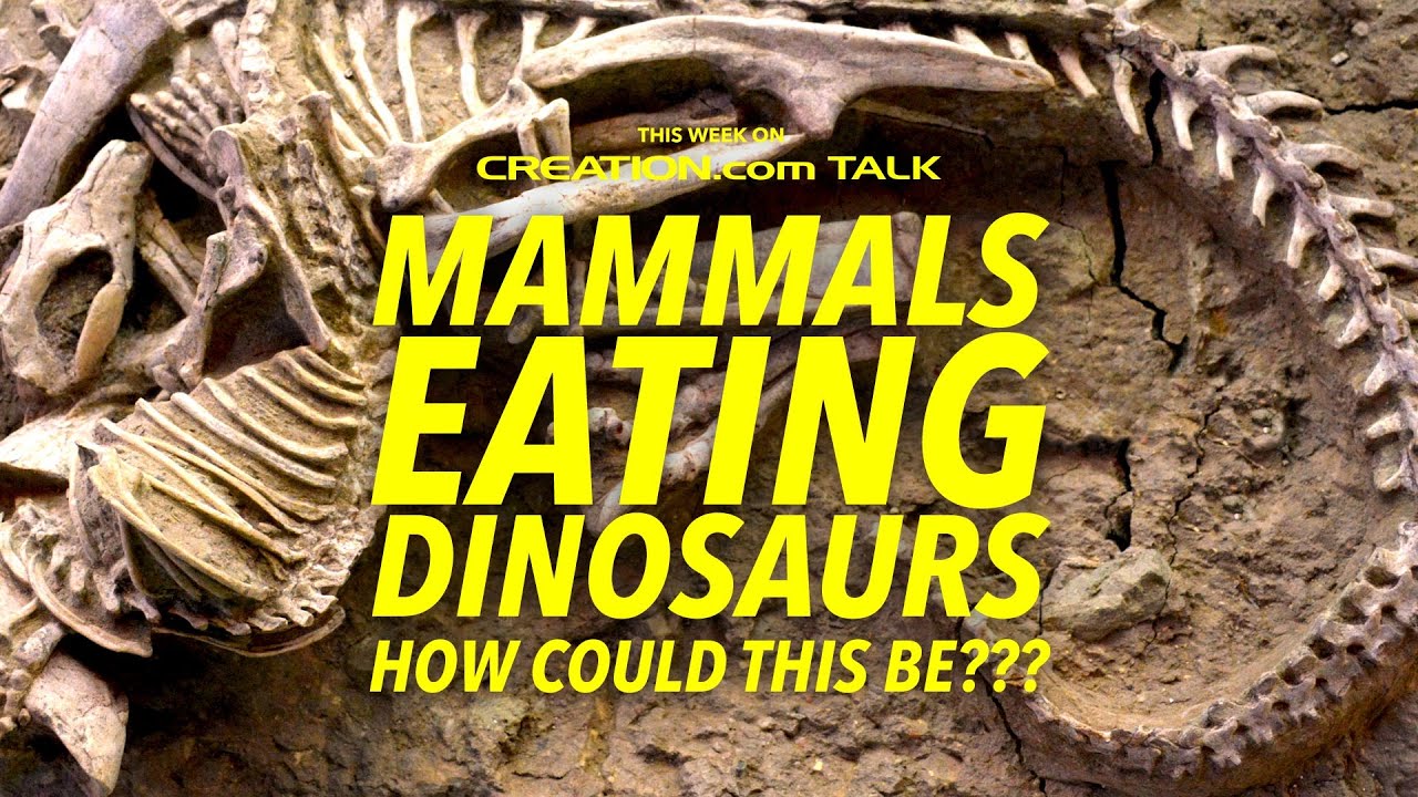 Mammals Eating Dinosaurs…How Could This Be??? - YouTube