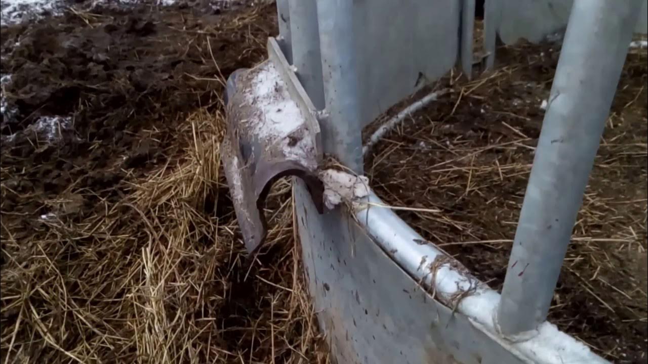 Кормушка для КРС. - YouTube