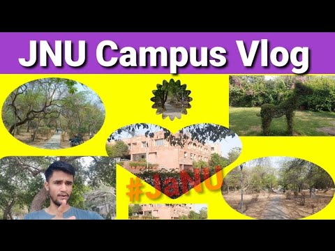 JNU Student Vlog | Jnu Campus video | Jnu cuet pg 2024 - YouTube
