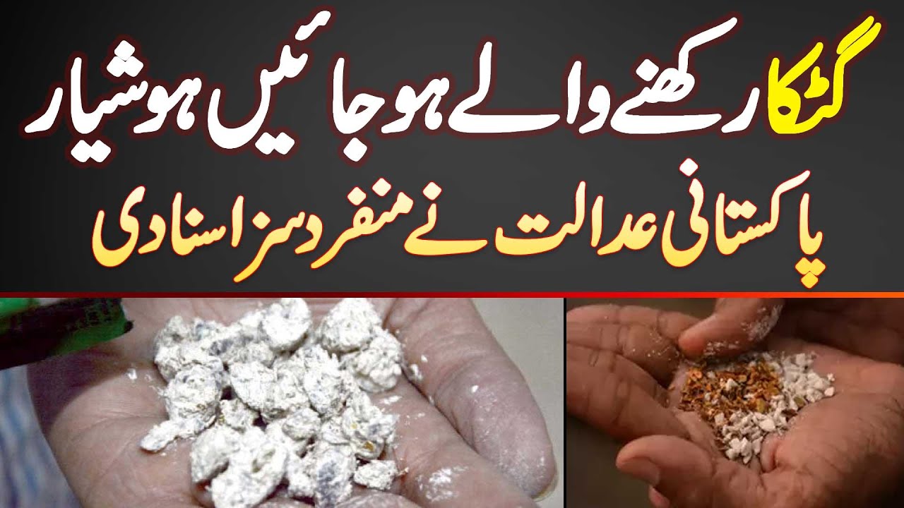 Gutka Rakhne Wale Ho Jaye Hoshiyar - Pakistani Court Ne Munfarid Saza ...