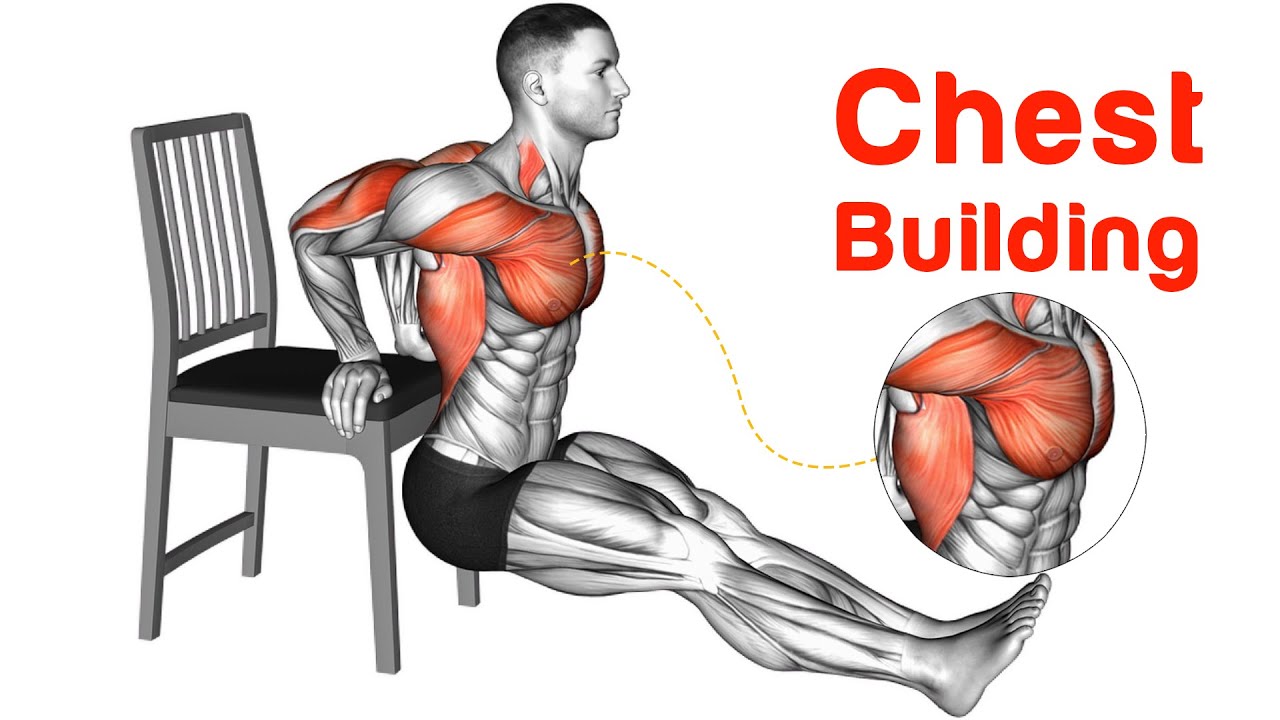 Top 10 Chest-Building Exercises To Build A Perfect Chest (dumbbell ...