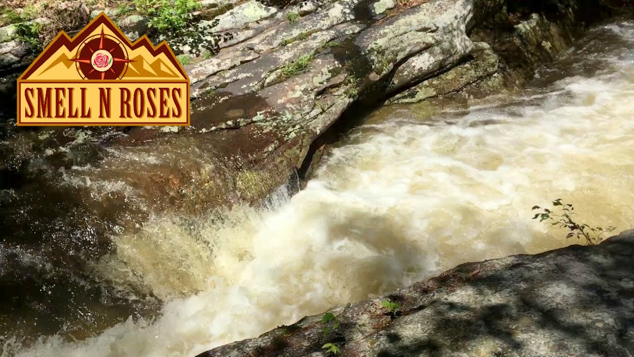 Devil's Pond at Sleepy Creek WMA, West Virginia PART 2 of 2 - YouTube