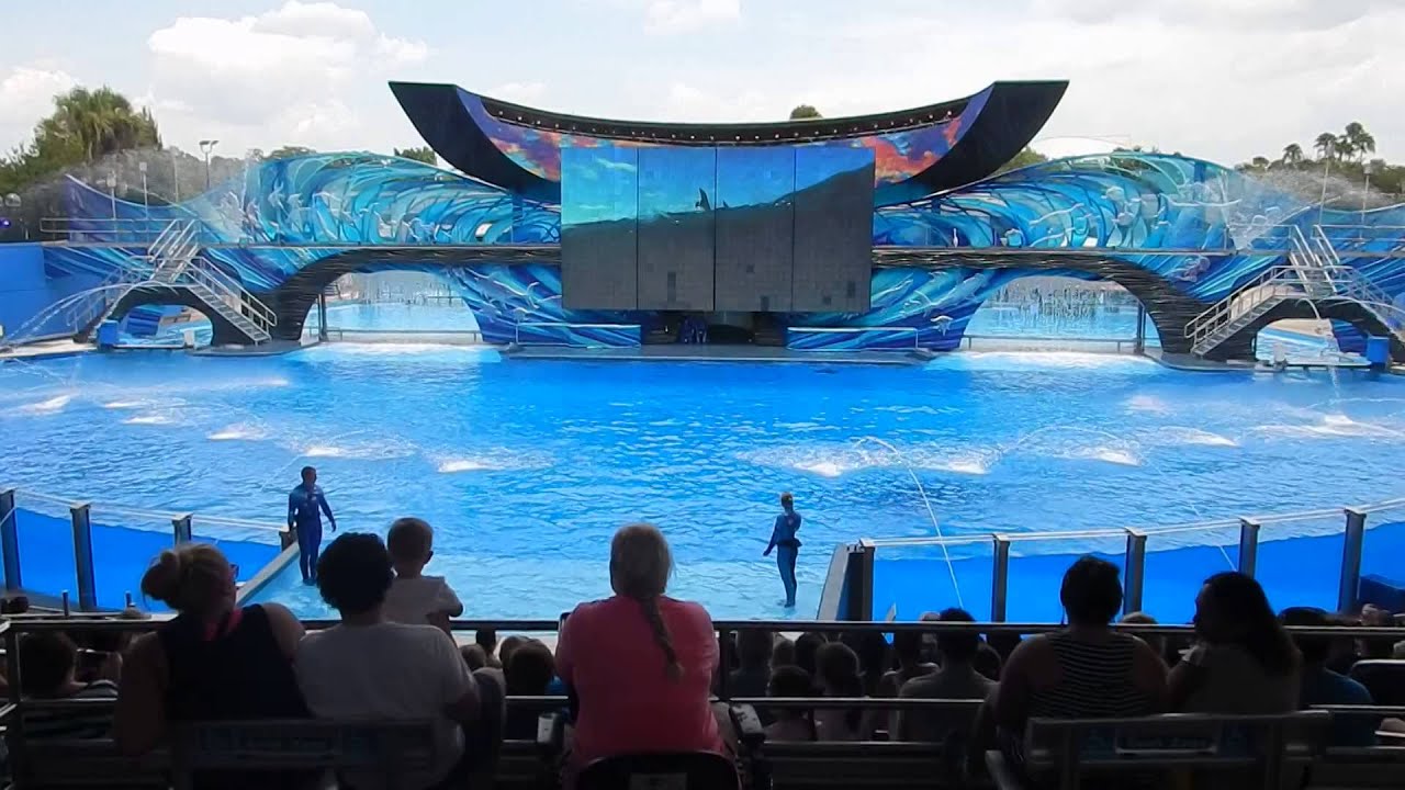 Shamu's One Ocean - YouTube