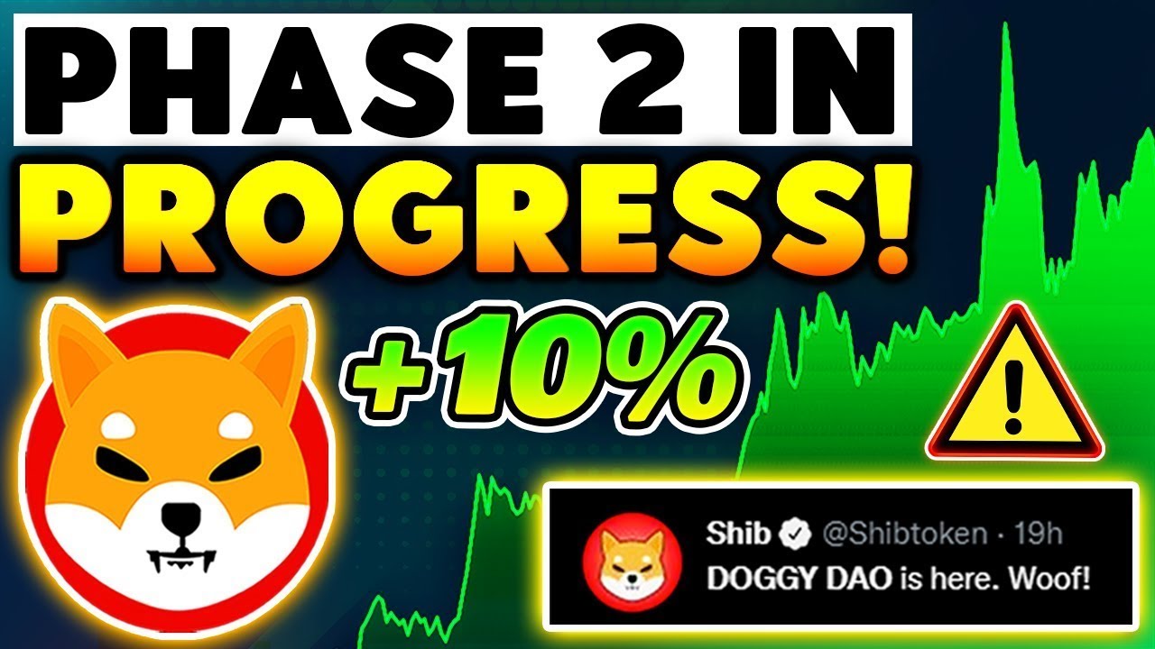 Shiba Inu Doggy DAO: Everything You Need To Know! - YouTube