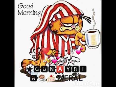 •🅶🆄🅽🅰🆈🅳🅸🅽👉MERAL 👈