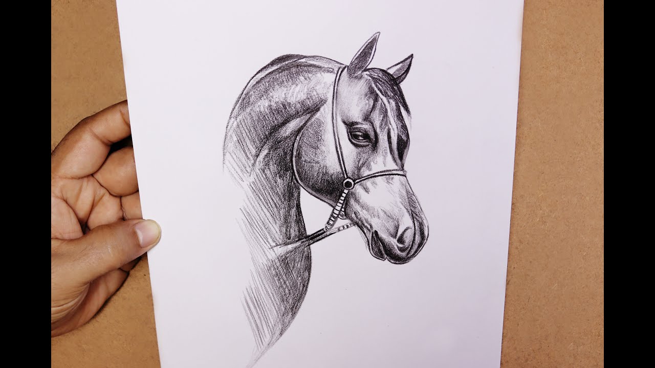 Horse Head draw and shading - Pencil sketch || How to draw a Hose Head ...