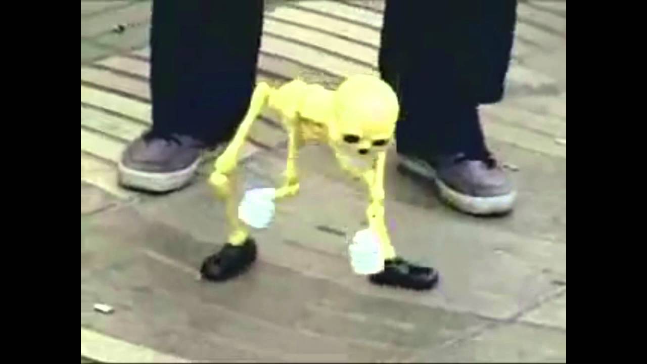 Skeleton shitpost - YouTube