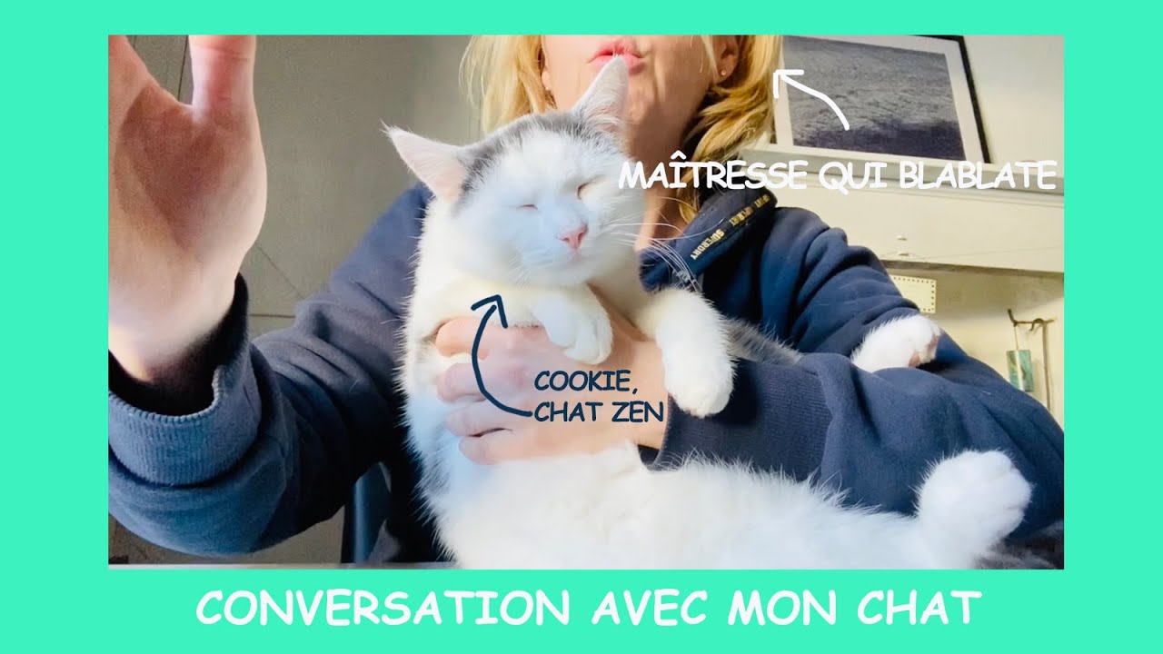 Conversation avec mon chat - Chat 78 - YouTube
