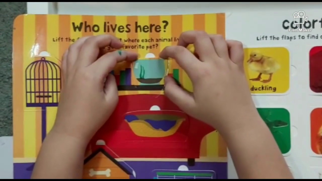 Flap Book Reading YouTube flap-book-reading-youtube