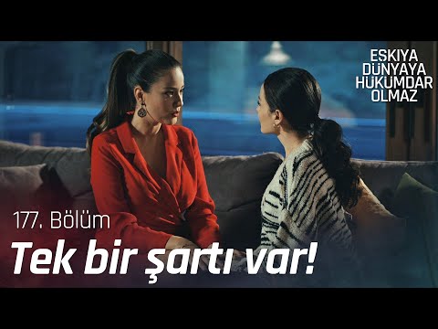 Hızır Ali için seni satarım! - Eşkıya Dünyaya Hükümdar Olmaz 177. Bölüm