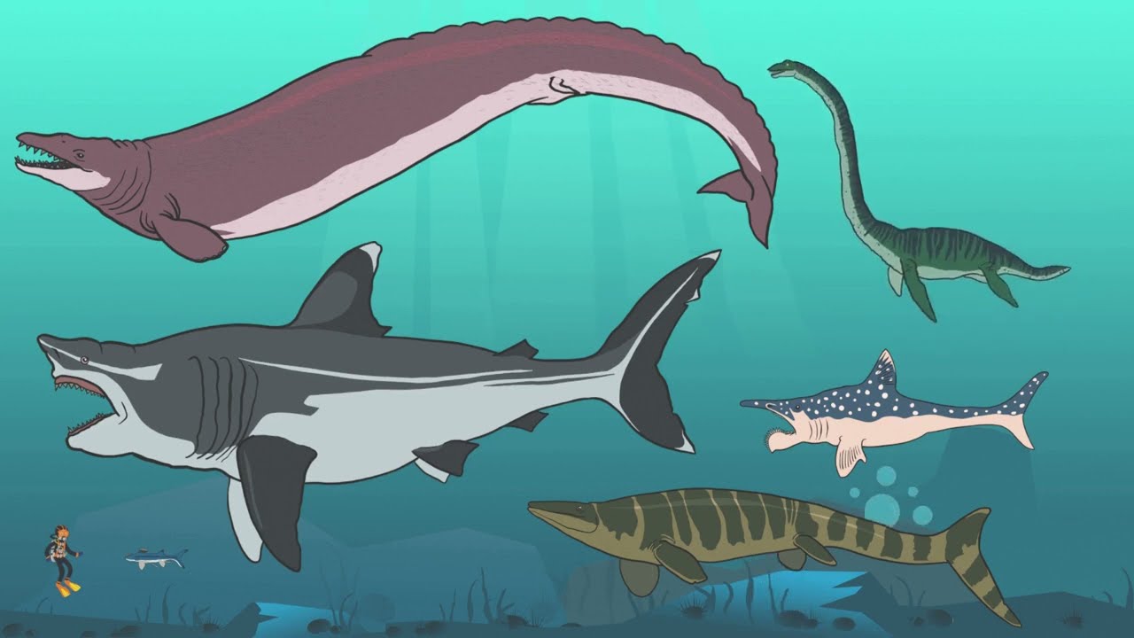 Prehistoric Sea Creatures Pt1 - YouTube