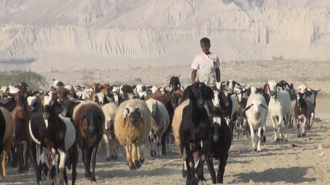 Rural Iran - Shots from the Countryside - YouTube