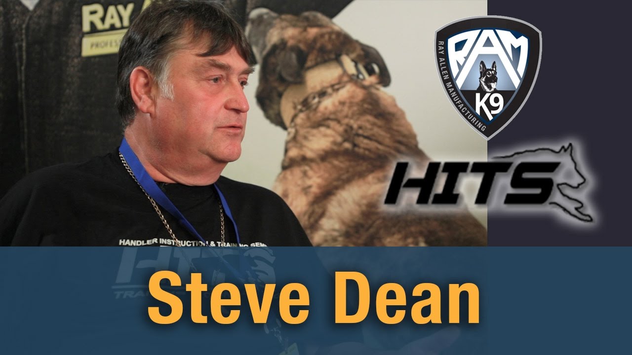 The Selection and Training of Young Dogs - Steve Dean Interview - YouTube