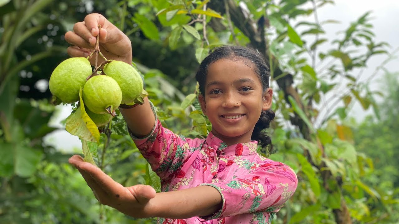 village fruit guava | belauti vlog |(aamba) tipdai puja bahini sanga ...