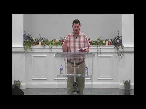 Tree of Life Ministries - YouTube