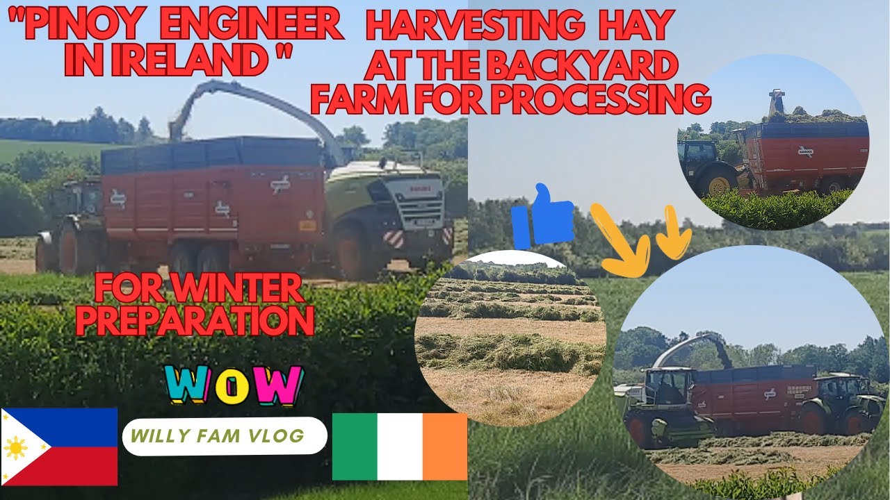 HARVESTING HAY AT THE BACKYARD FARM FOR PROCESSING AND WINTER PREPARATION PINOY ENGINEER IN ...