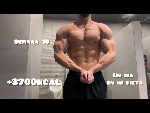 UN DÍA EN MI DIETA DE DEFINICIÓN / +3700KCAL