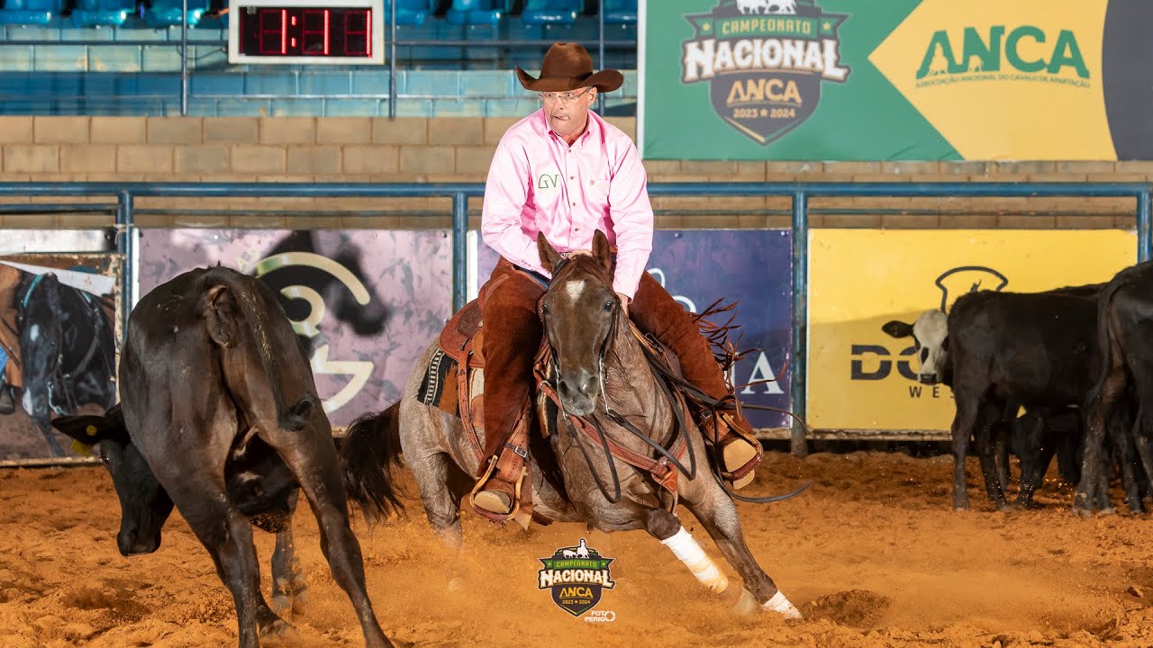 Campeonato Nacional ANCA 2023/2024 - Reservado Campeão - Amador - YouTube