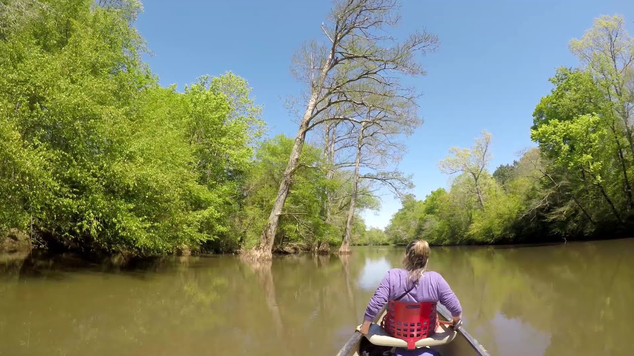 Tar River Canoe Trip - YouTube